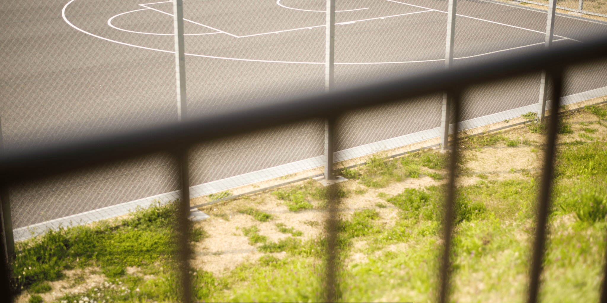 Aesthetic Appeal: The Color for Coated Fencing | Duke’s Wire Mesh